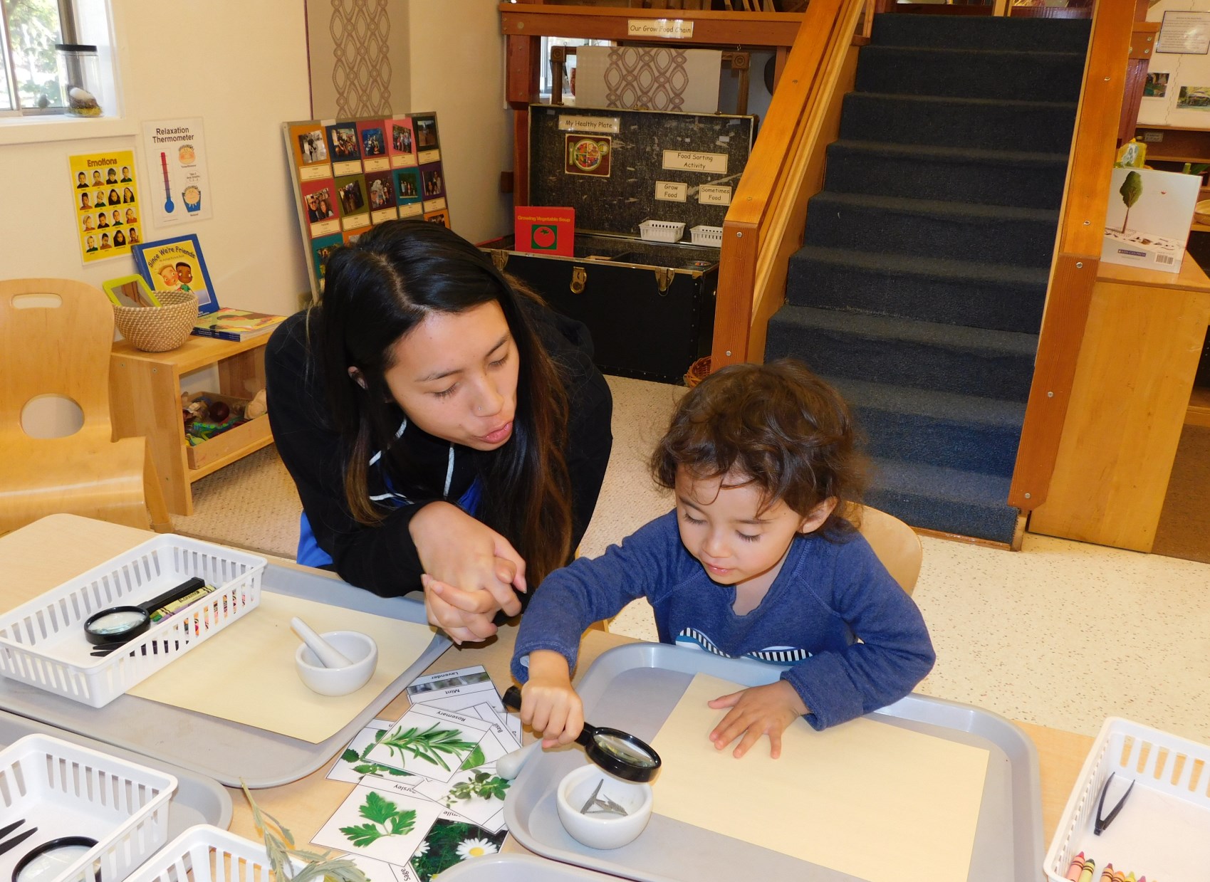 Center for Child and Family Studies - Early Childhood Laboratory
